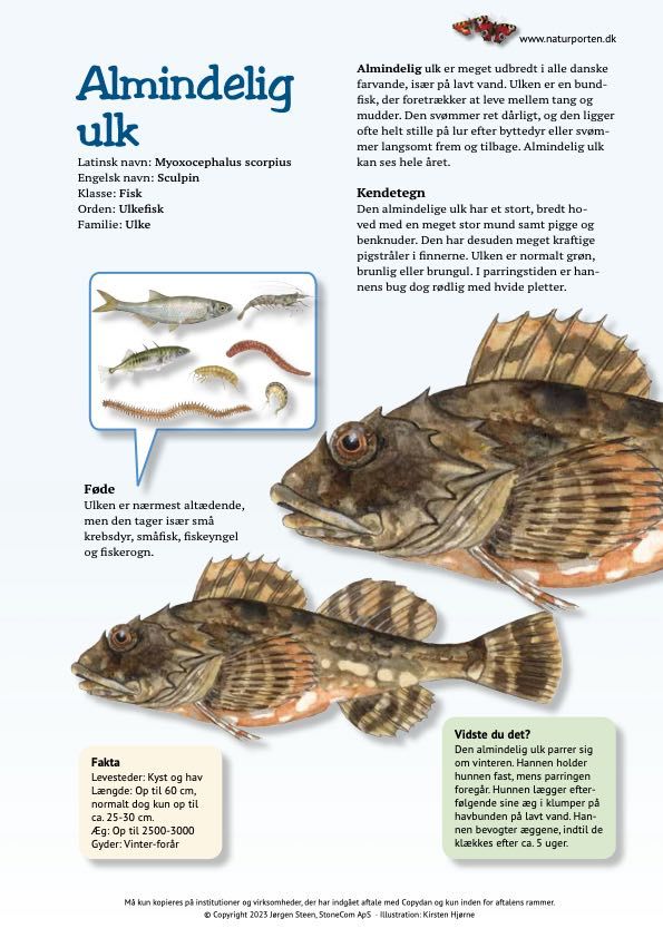 Ulk - Naturporten