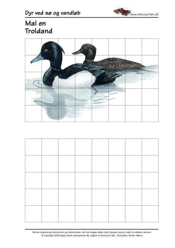 Troldand - Naturporten