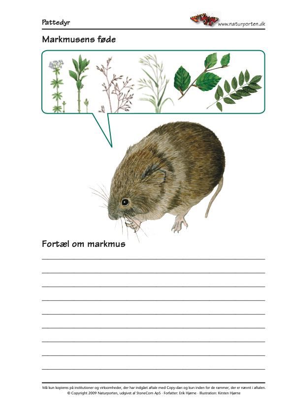 Markmus - Naturporten