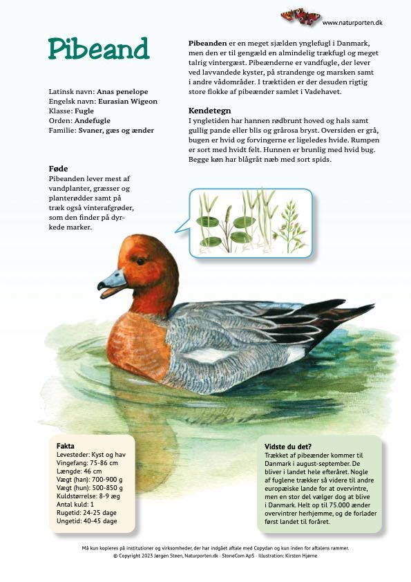 Pibeand - Naturporten