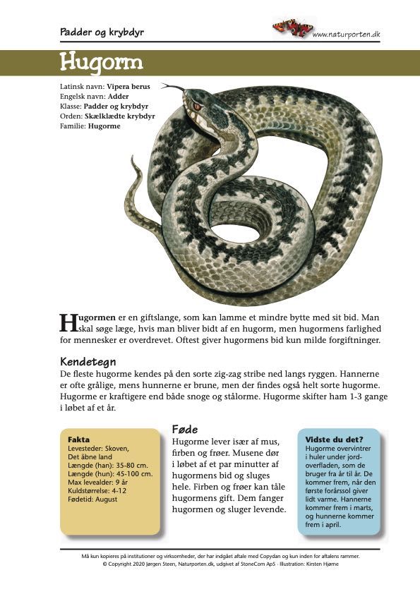 Hugorm - Naturporten