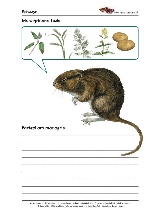 Mosegris - Naturporten