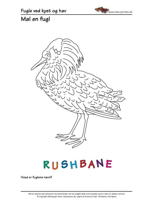 Brushane - Naturporten