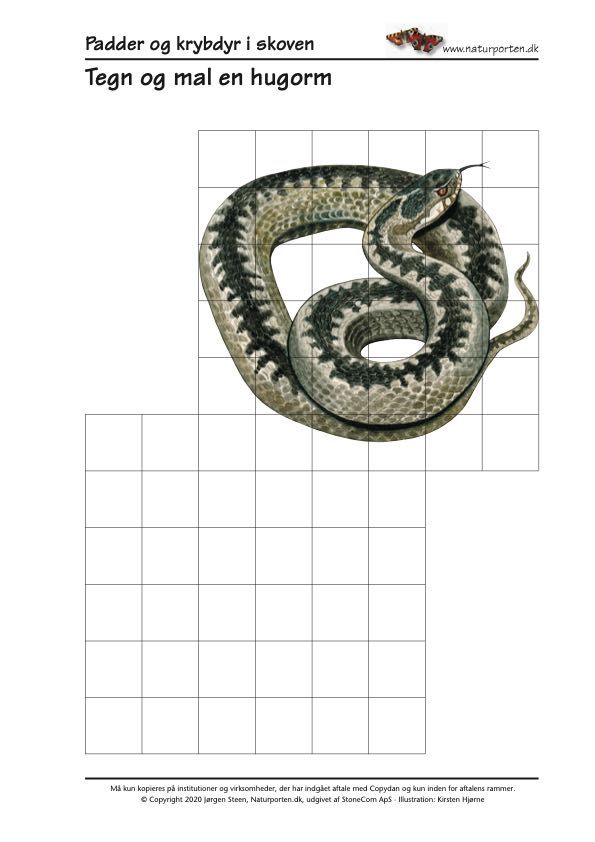 Hugorm - Naturporten