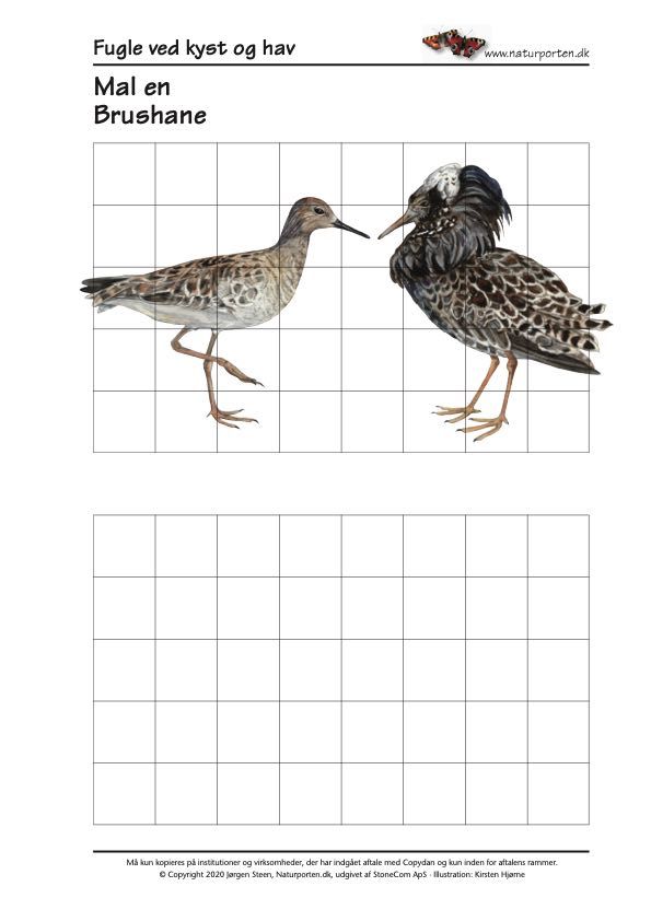 Brushane - Naturporten