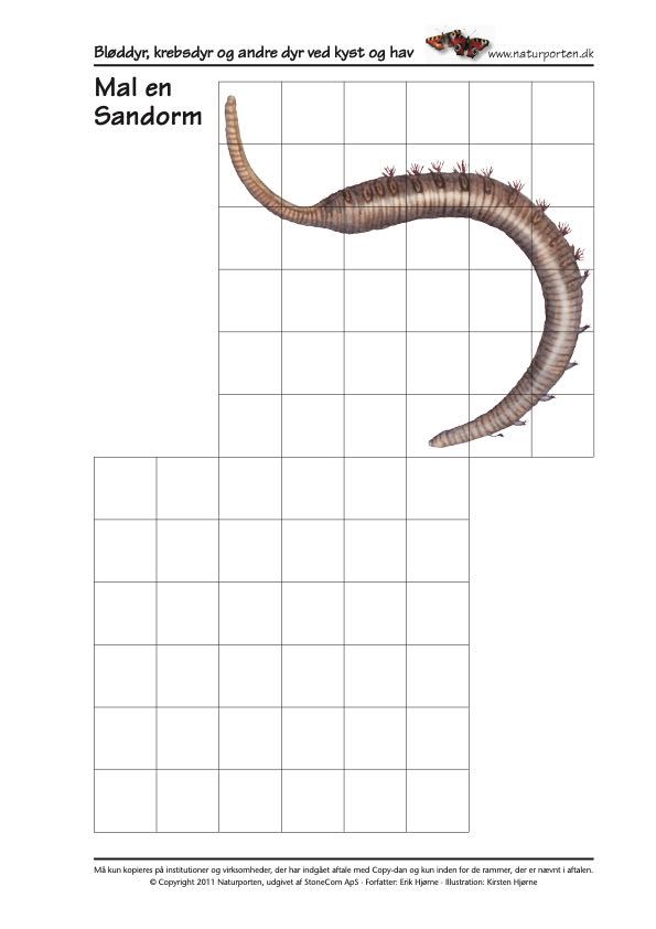 Sandorm - Naturporten