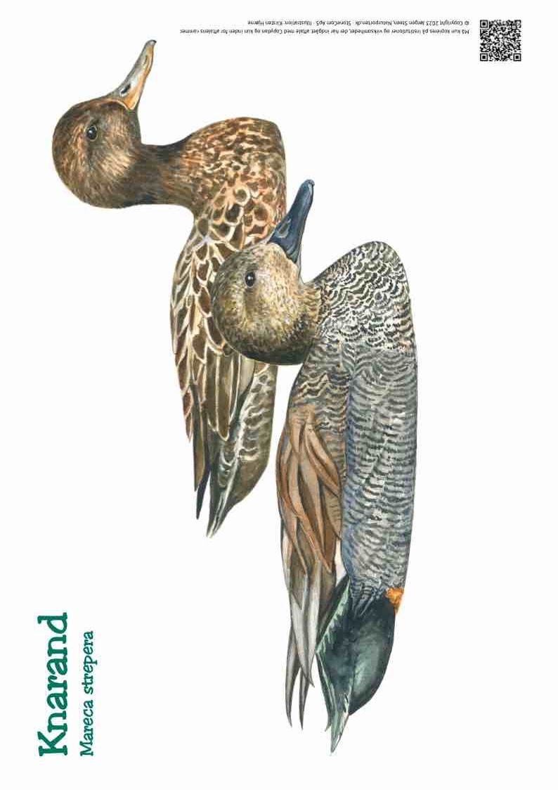 Knarand - Naturporten