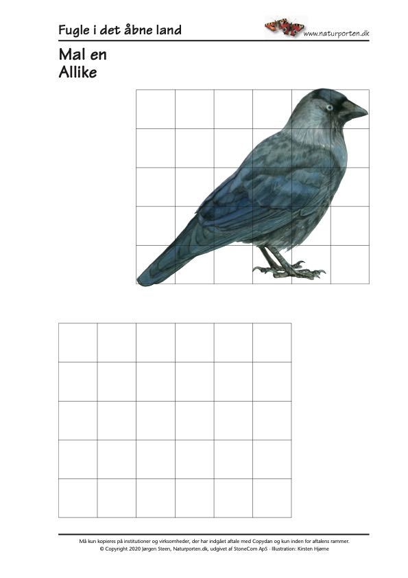 Allike - Naturporten