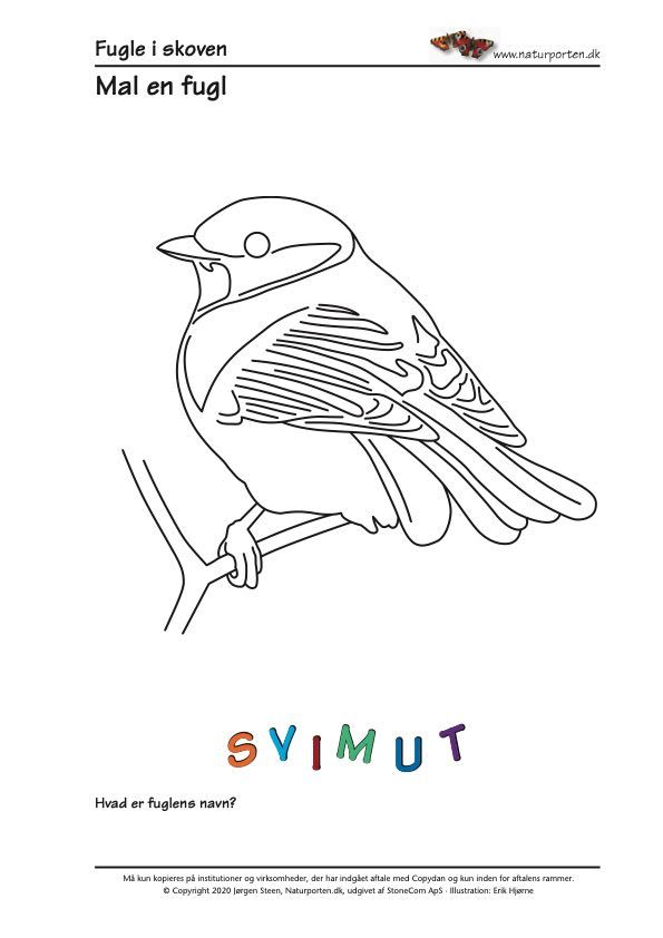 Musvit - Naturporten